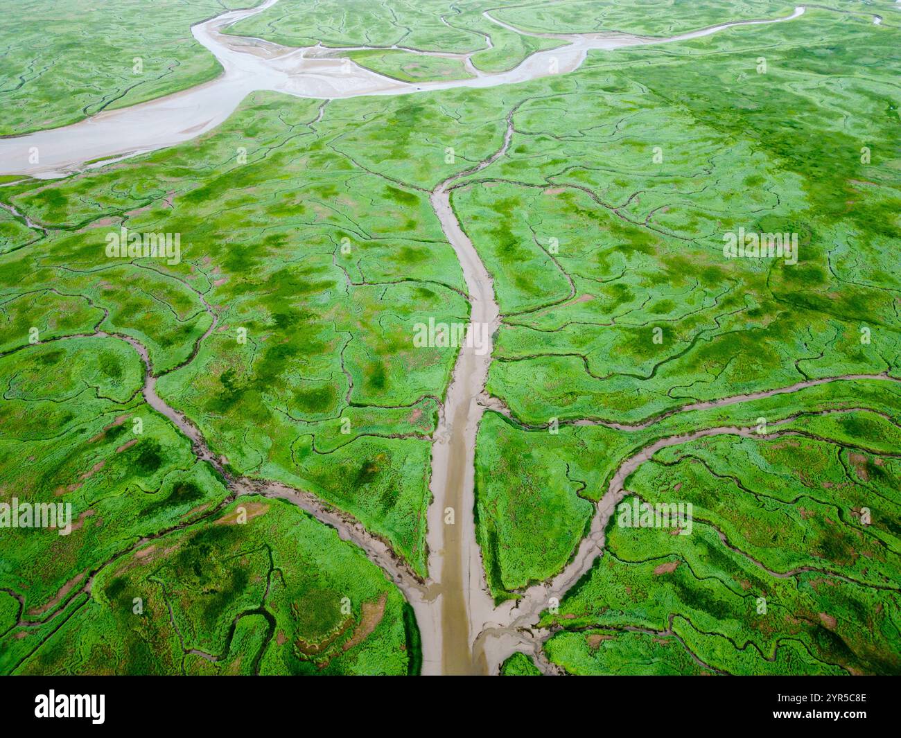 Aerial view of tidal channels and gullies, Saeftinge, The Netherlands ...