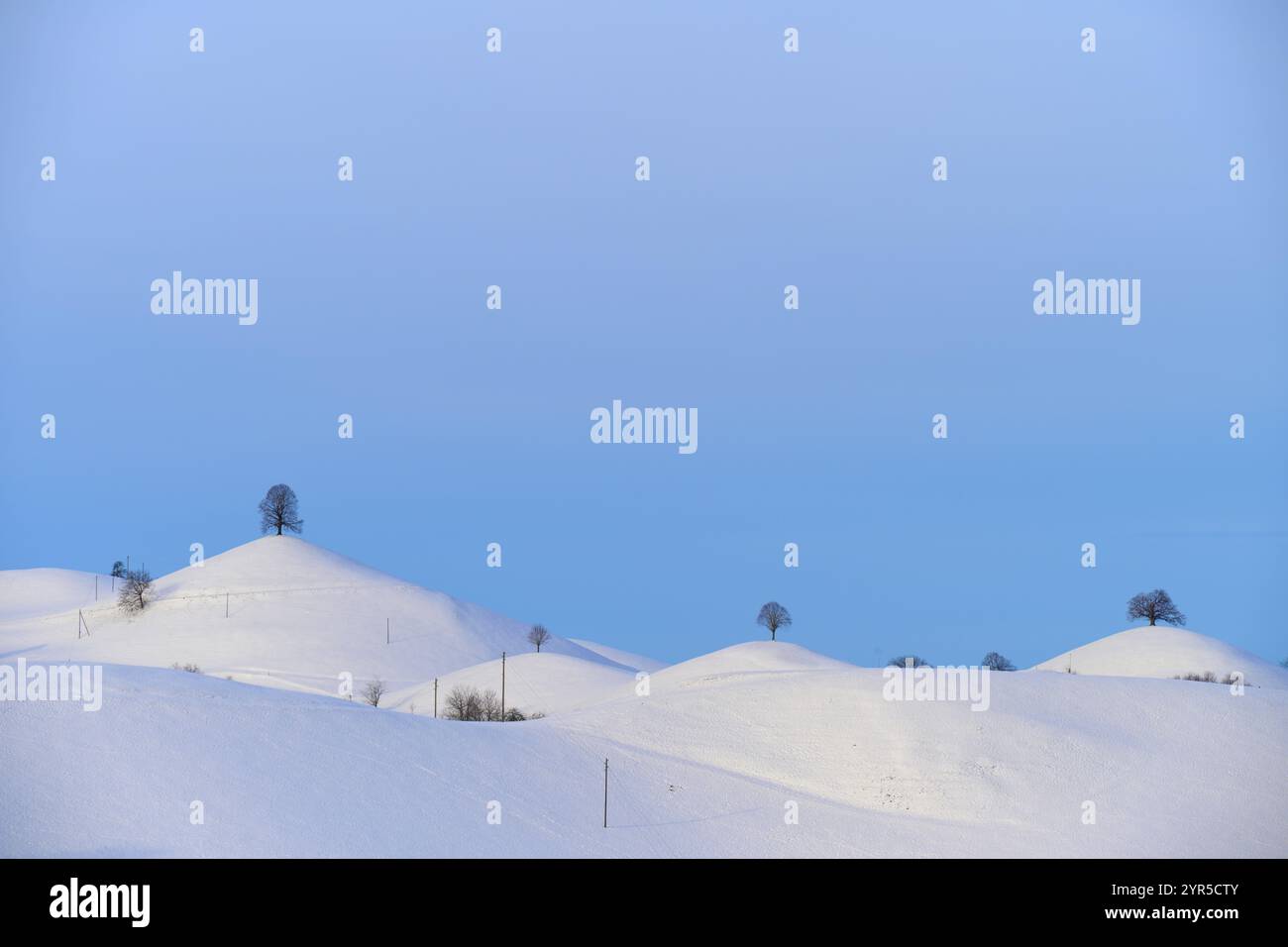Snow-covered hills with scattered trees under a clear blue sky ...