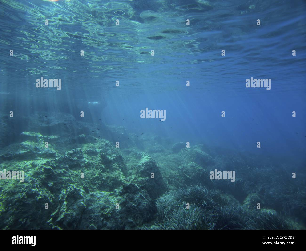 Sunlight underwater suns rays hi-res stock photography and images - Alamy