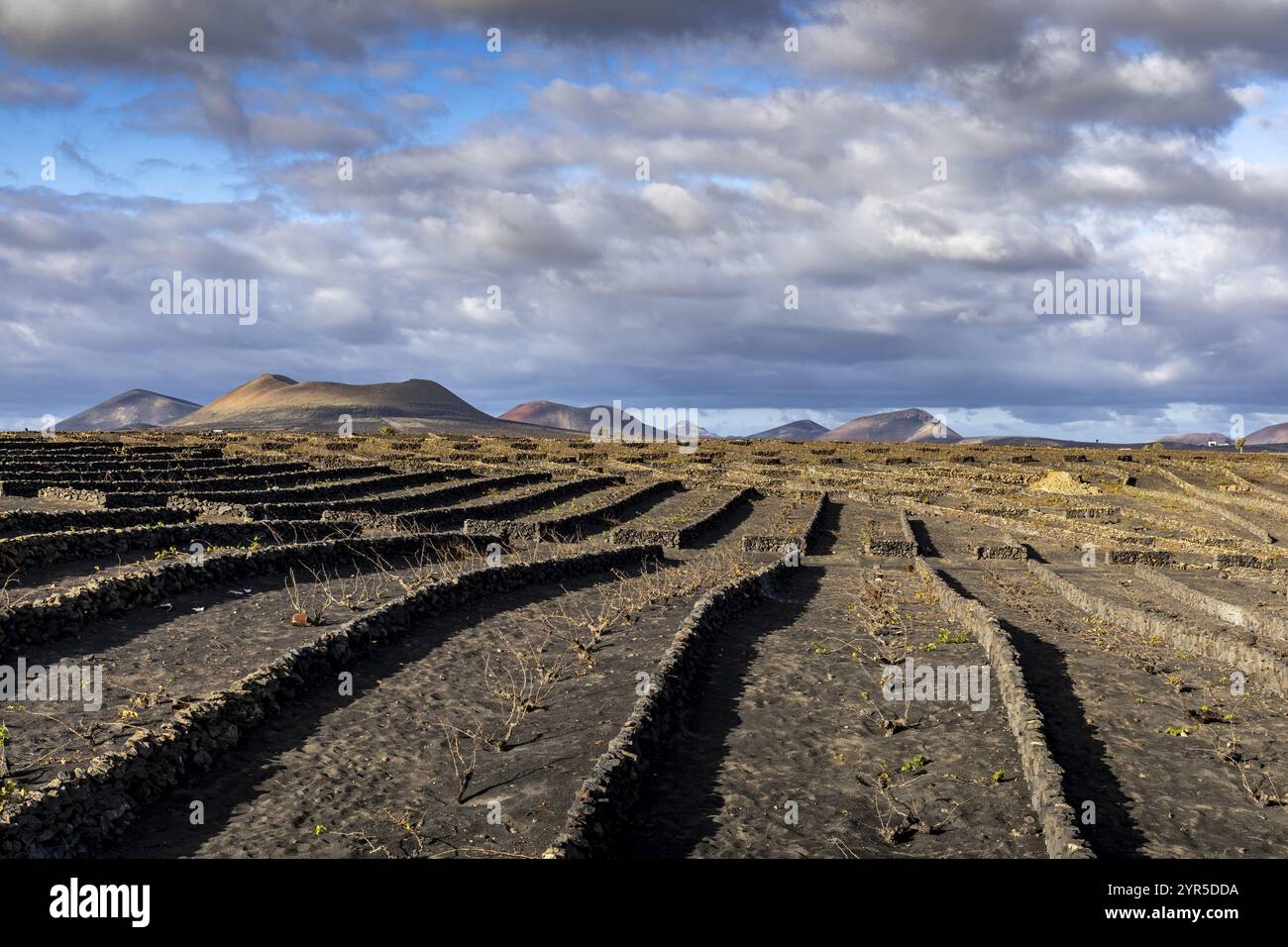 Volcanic crater, The stony terraces of volcanic soil stretch out under ...