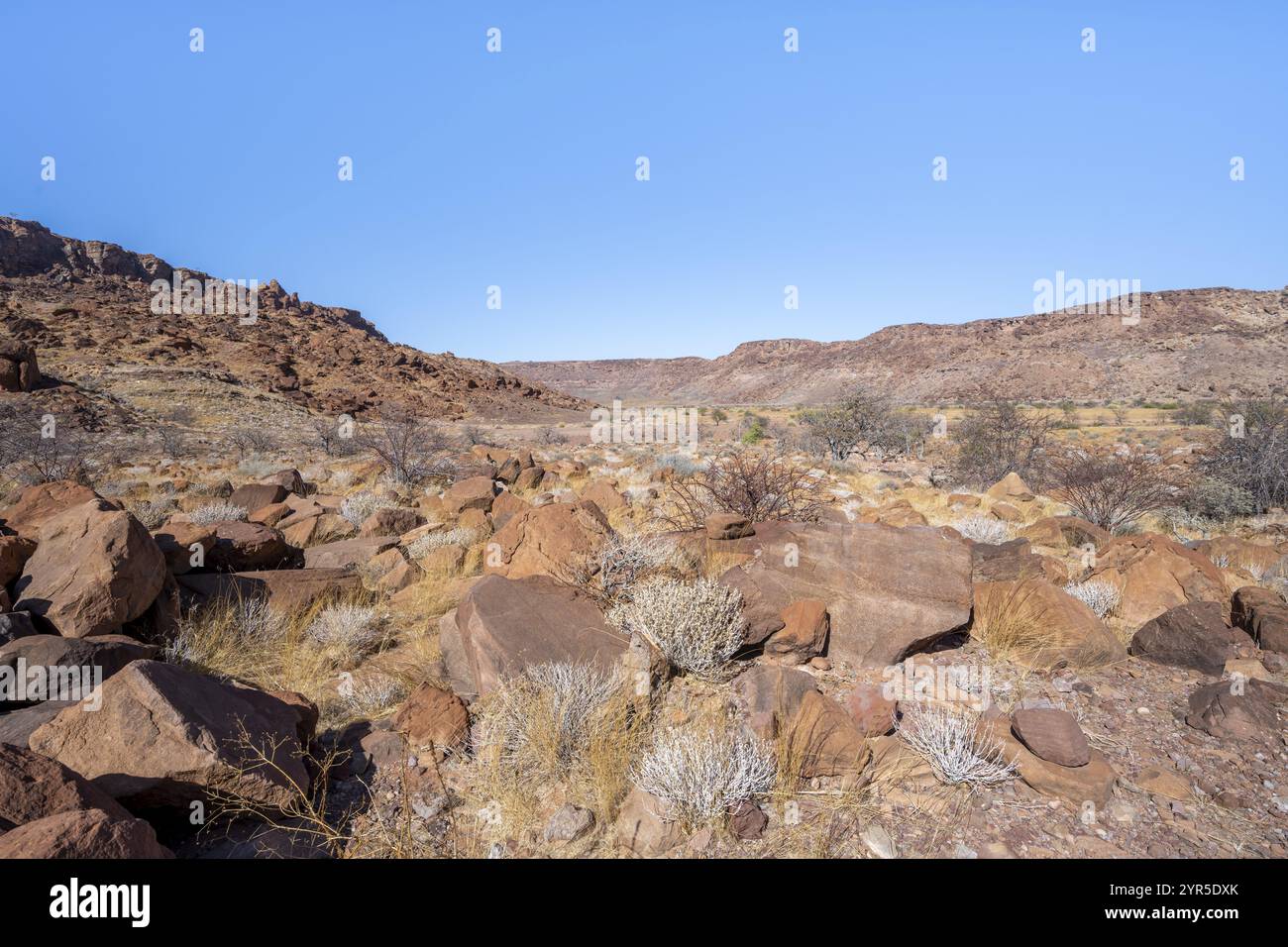 Barren landscape in a valley, Twyfelfontain, Kunene, Namibia, Africa ...