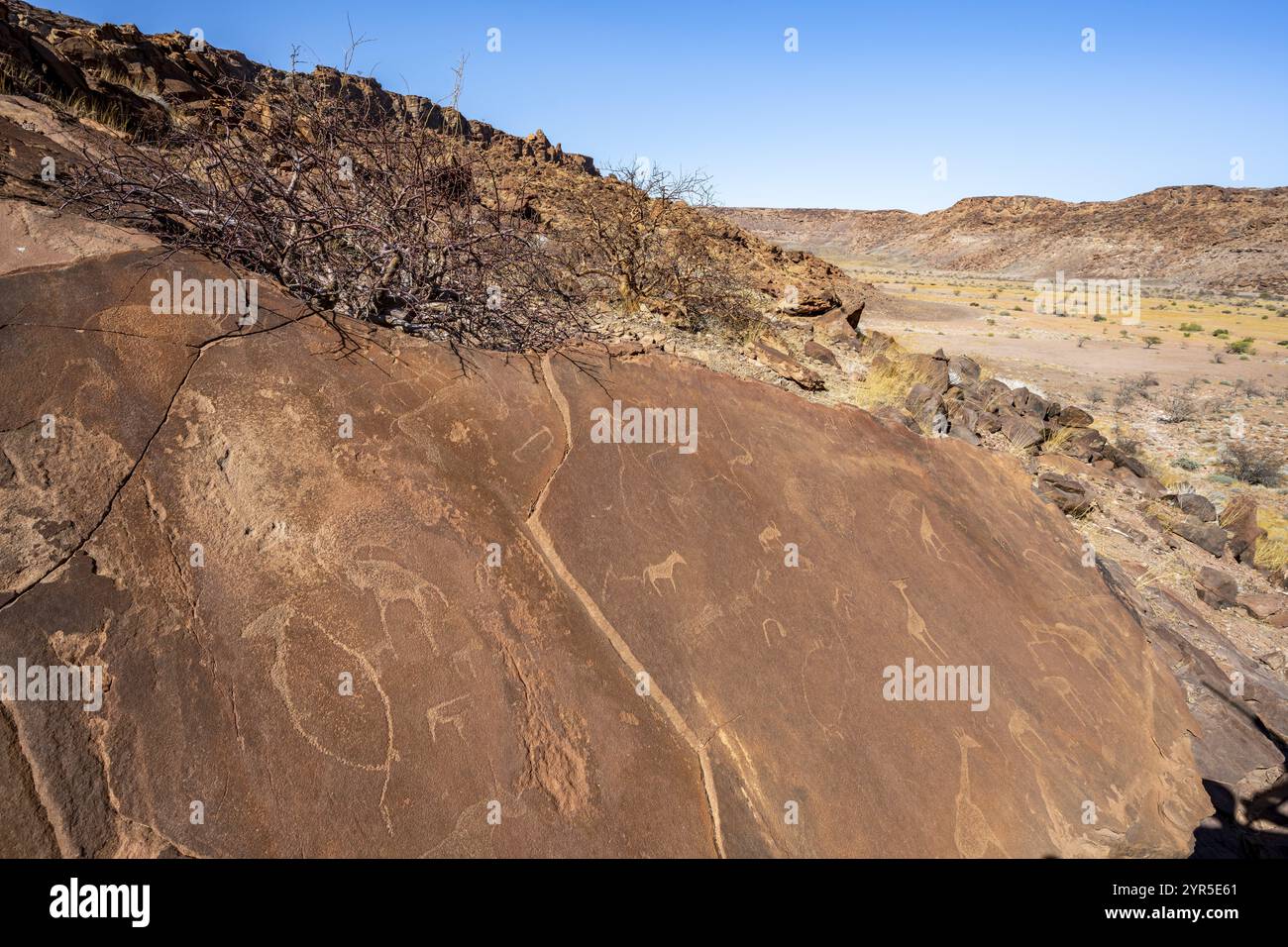 Depictions of animals on a rock slab, petroglyphs, rock engravings ...