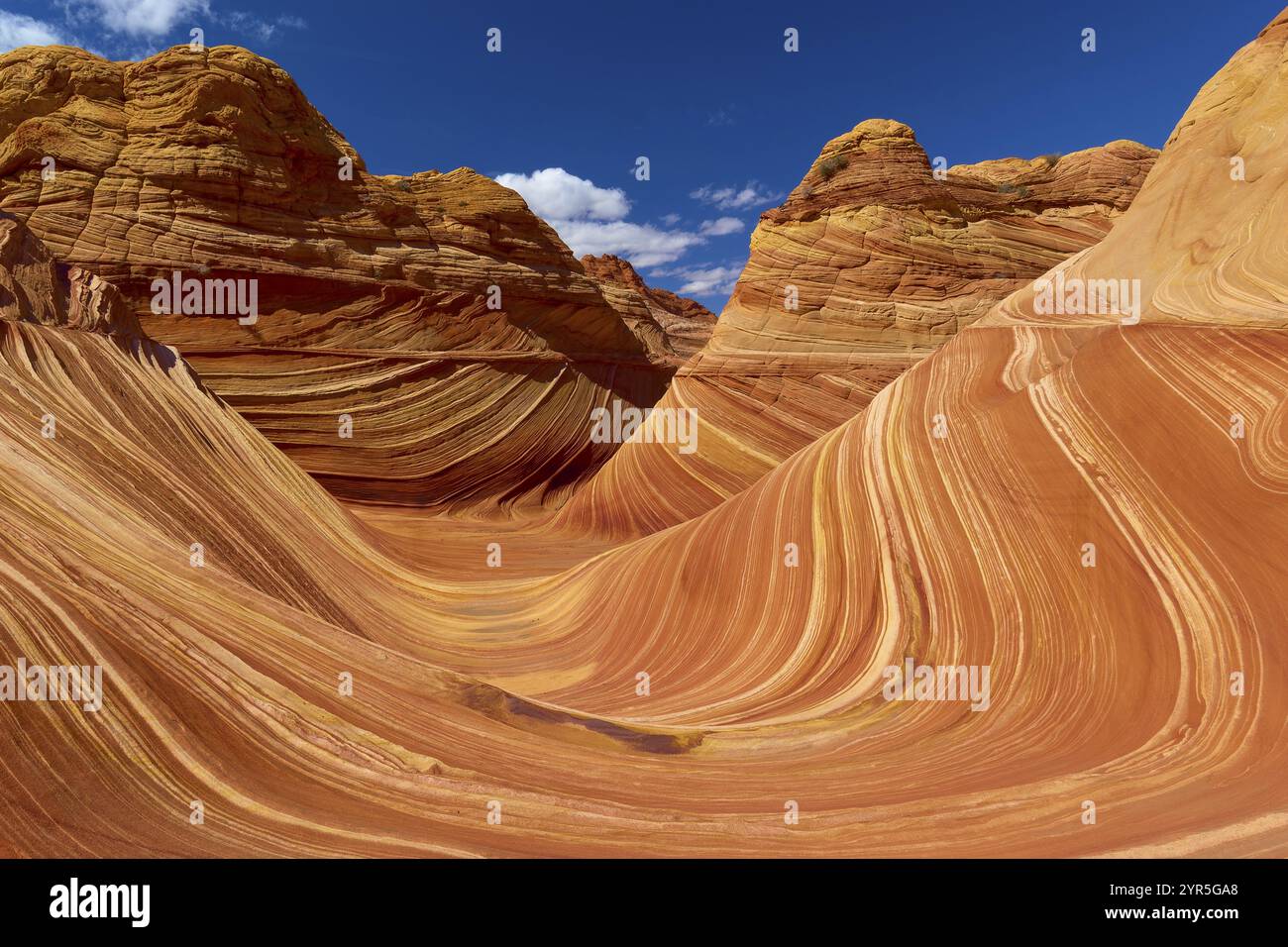 The Wave, impressive sandstone formation with wave-like patterns in ...