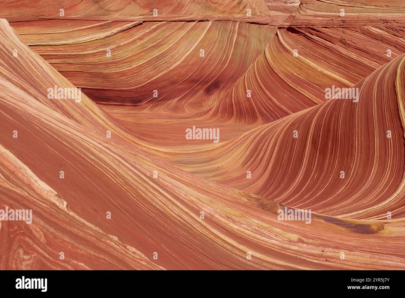 The Wave, impressive sandstone formation with wave-like patterns in ...