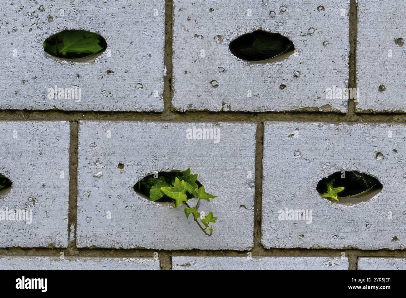 White bricks texture hi-res stock photography and images - Alamy