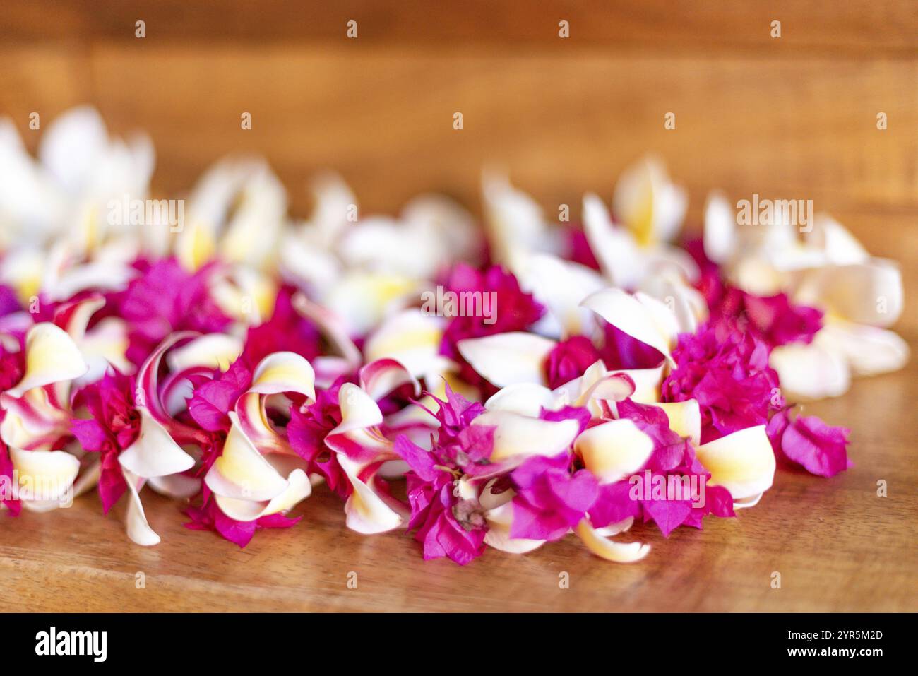 Hawaii lei flower hi-res stock photography and images - Alamy