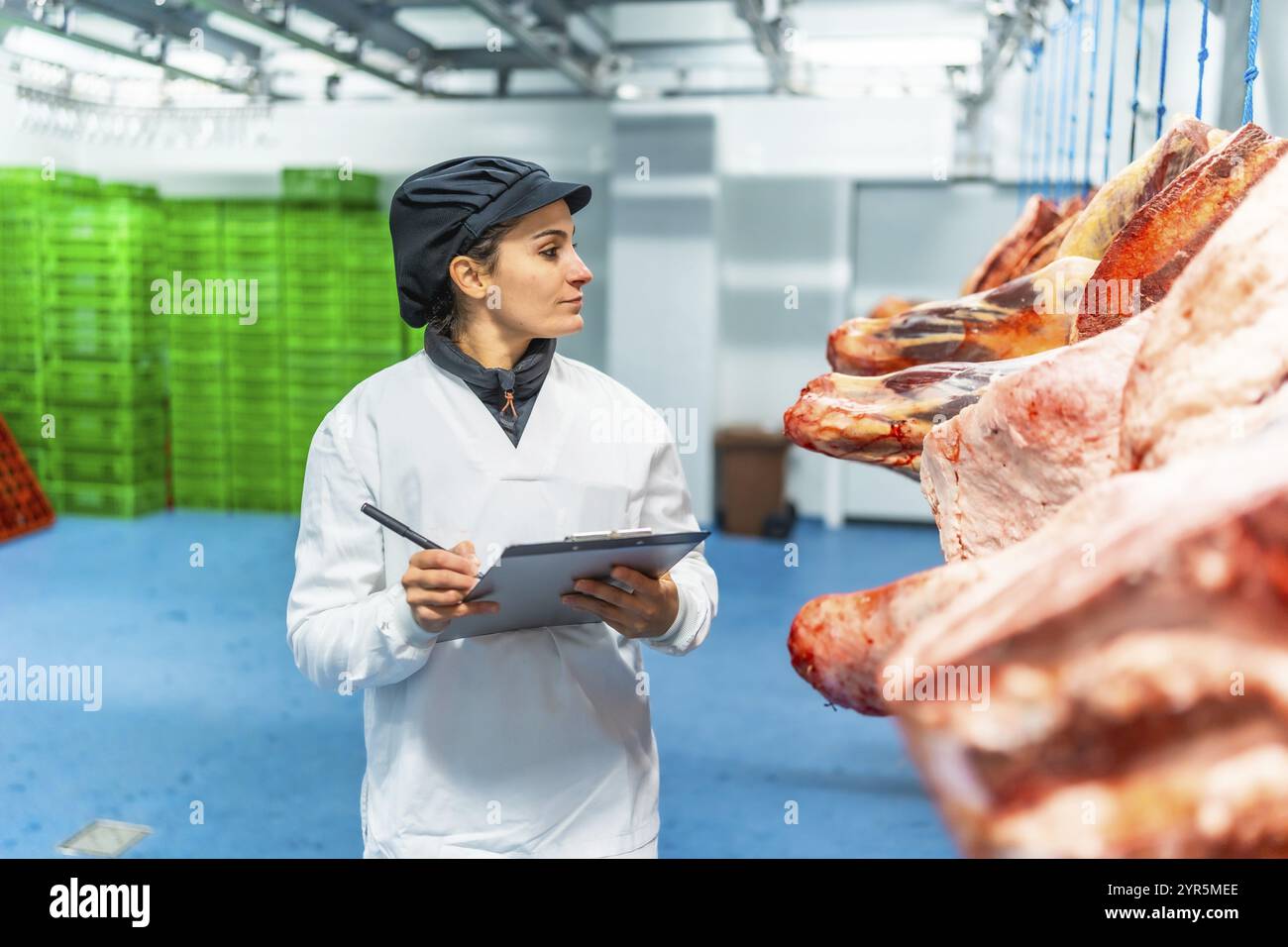 Woman inspecting meat and writing notes in a clipboard in a cold ...