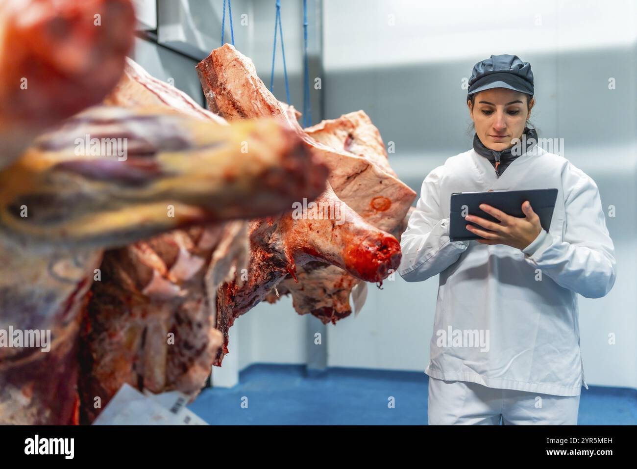 Woman using tablet doing quality control tasks in a meat processing factory Stock Photo - Alamy