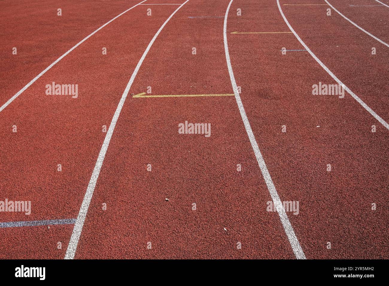 Wet synthetic track in the athletics stadium Stock Photo - Alamy