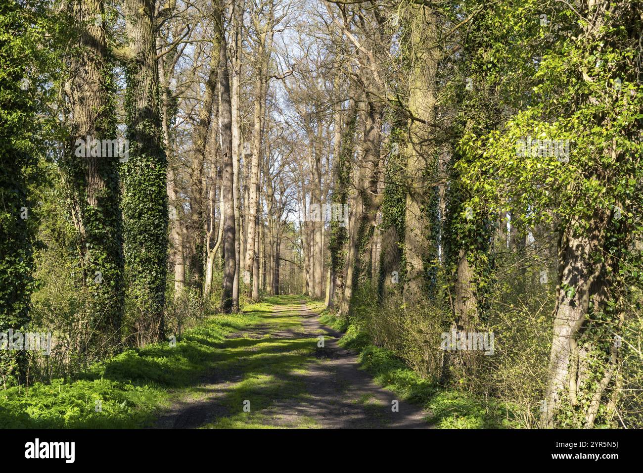 Beautiful shot wonderful nature hi-res stock photography and images - Alamy