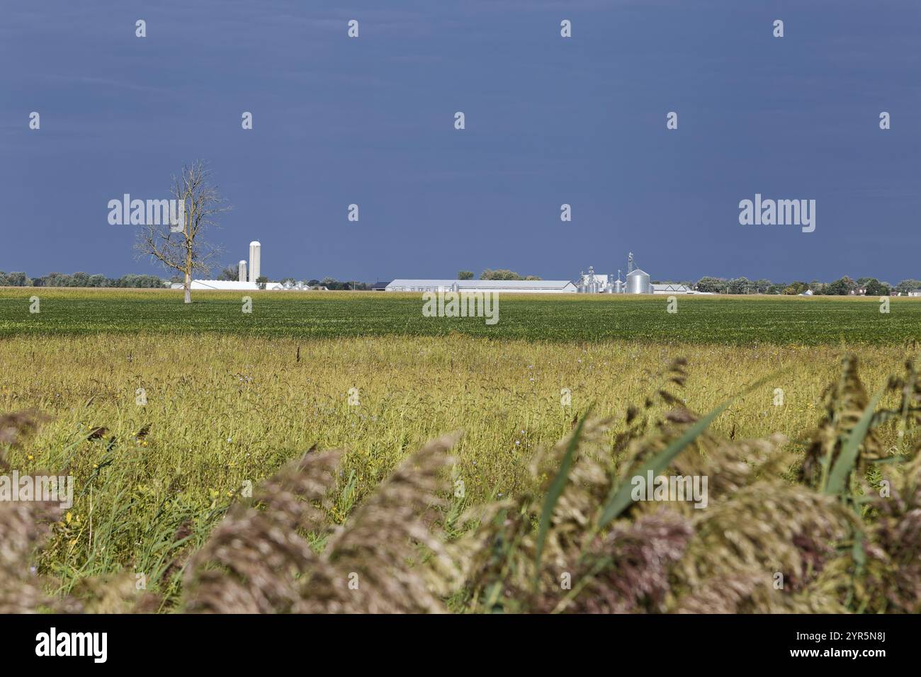 Arable farm landscape hi-res stock photography and images - Alamy