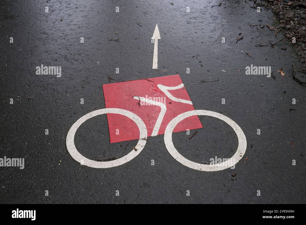 A wet bicycle path marked with a red square and white bike symbol under ...