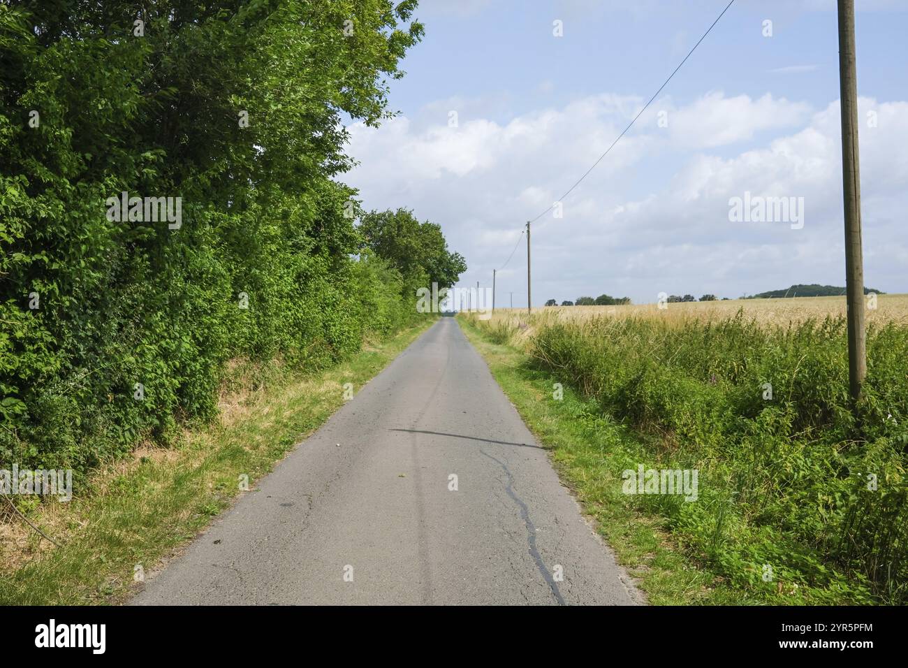 Empty rural roads hi-res stock photography and images - Alamy