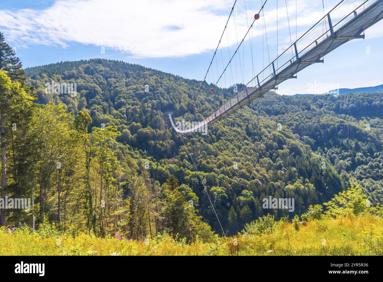 Detail of the suspension bridge over the Todtnau waterfall in the Black ...