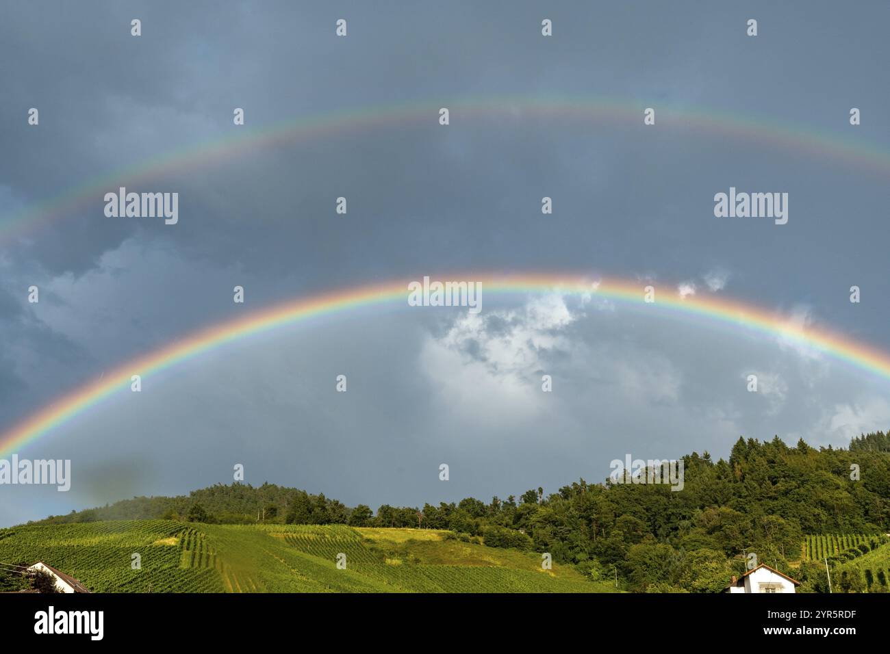 A rainbow is seen in the sky above a hillside. The sky is cloudy and the sun is not visible ...
