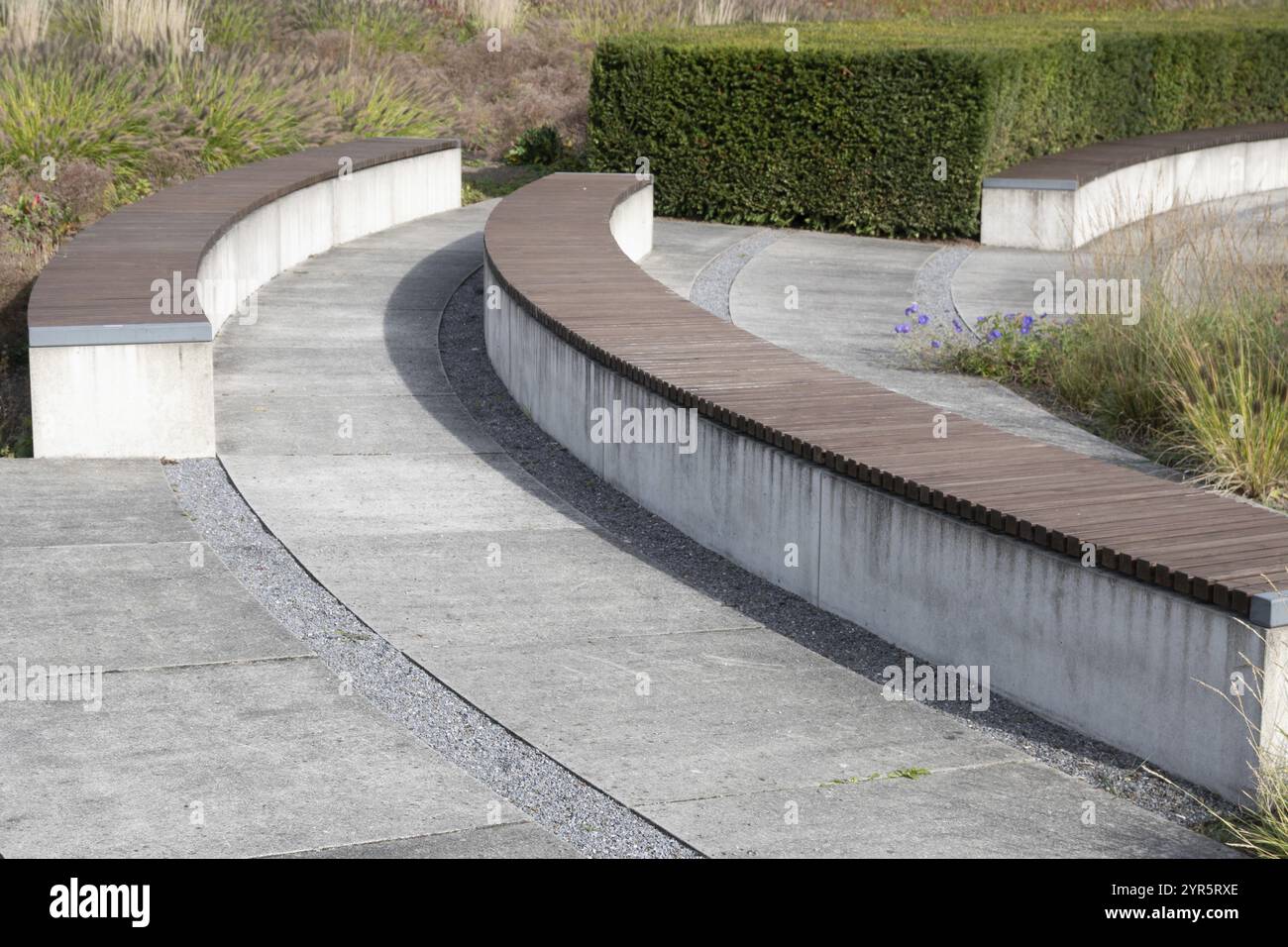 Modern curved bench in concrete with wooden support in park Stock Photo ...