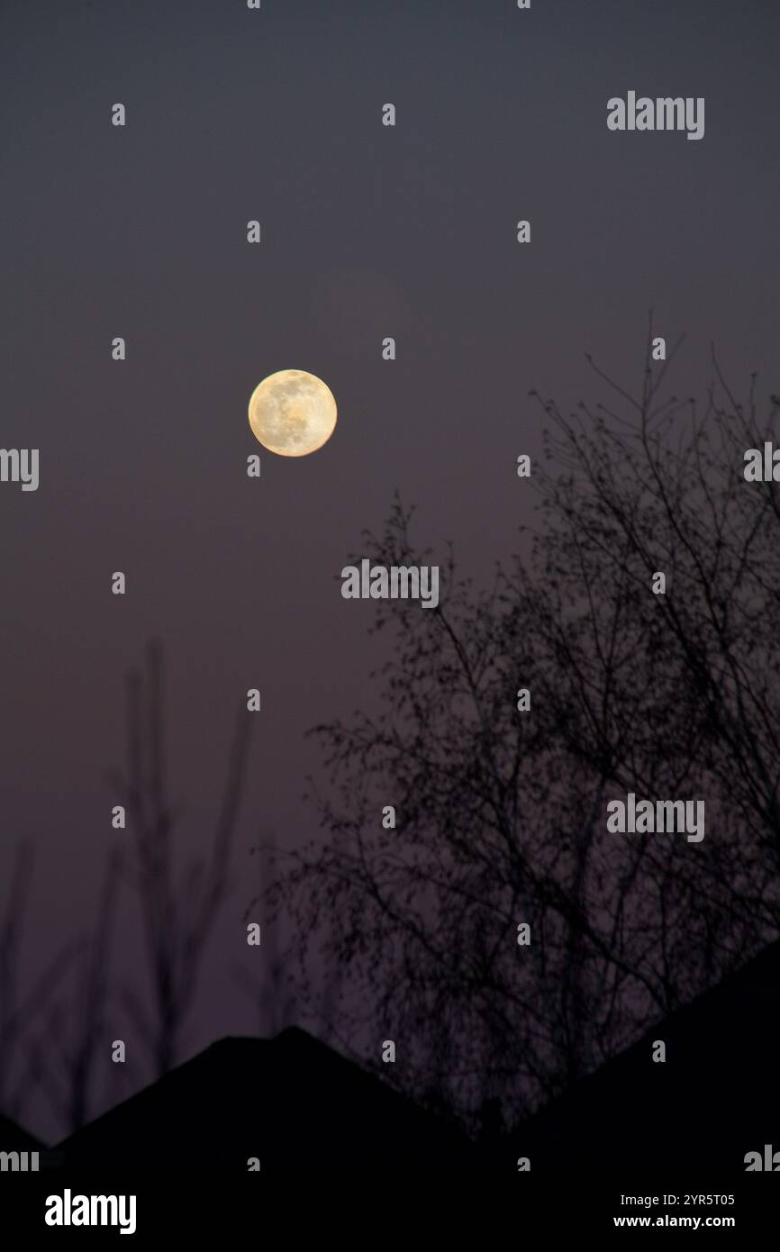 Full moon in the winter Stock Photo - Alamy