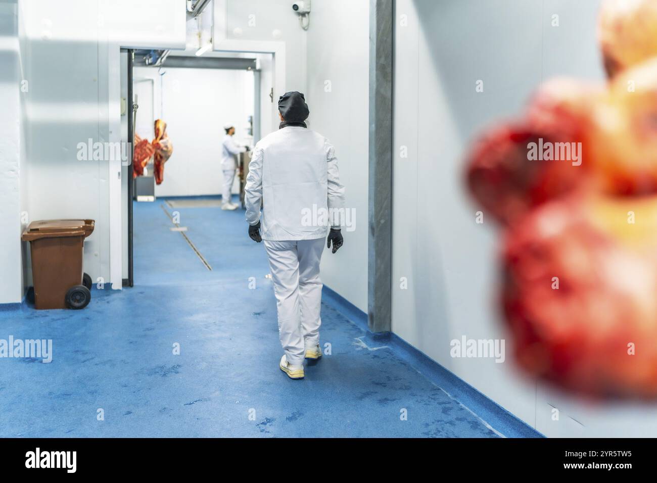 Full length photo of some people working in the cold room storage of a ...