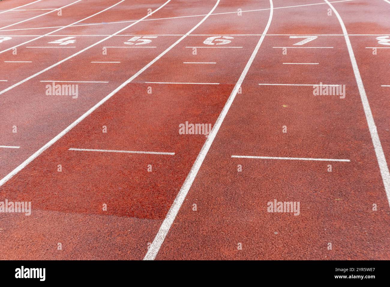 Wet synthetic track in the athletics stadium Stock Photo - Alamy