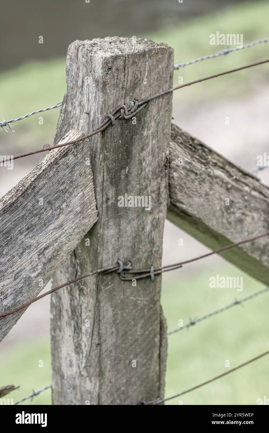 Barbed wire on a fence Stock Photo - Alamy