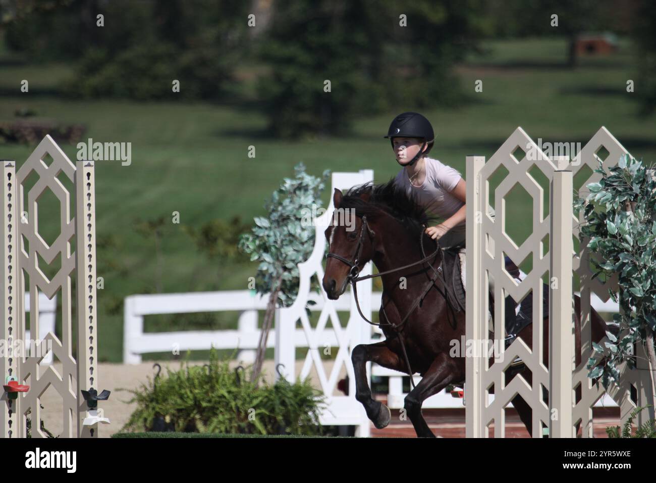 Pony Practice at Kentucky Horse Park in Lexington, Kentucky, USA Stock ...
