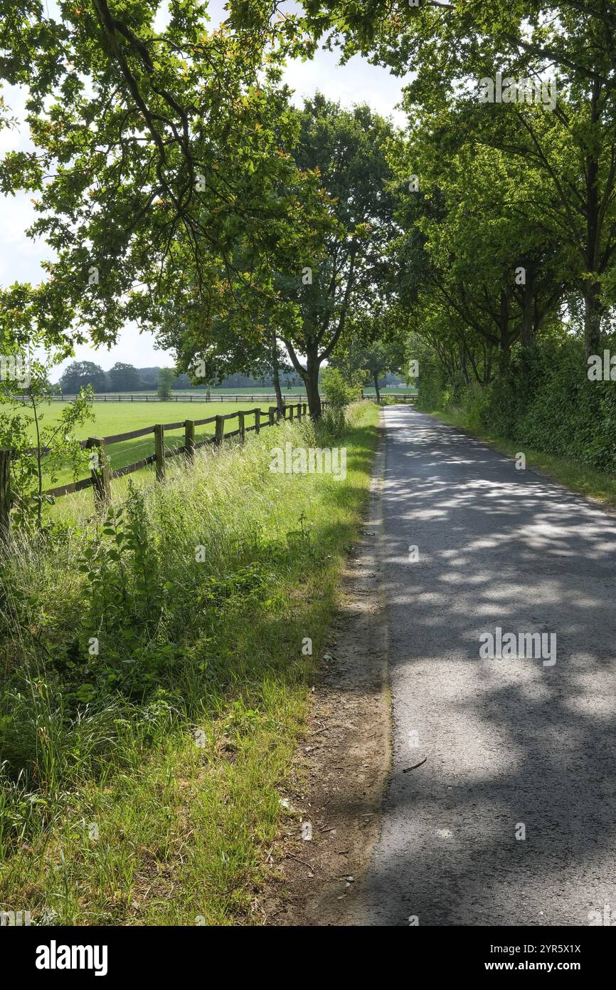 Shot wonderful hi-res stock photography and images - Alamy