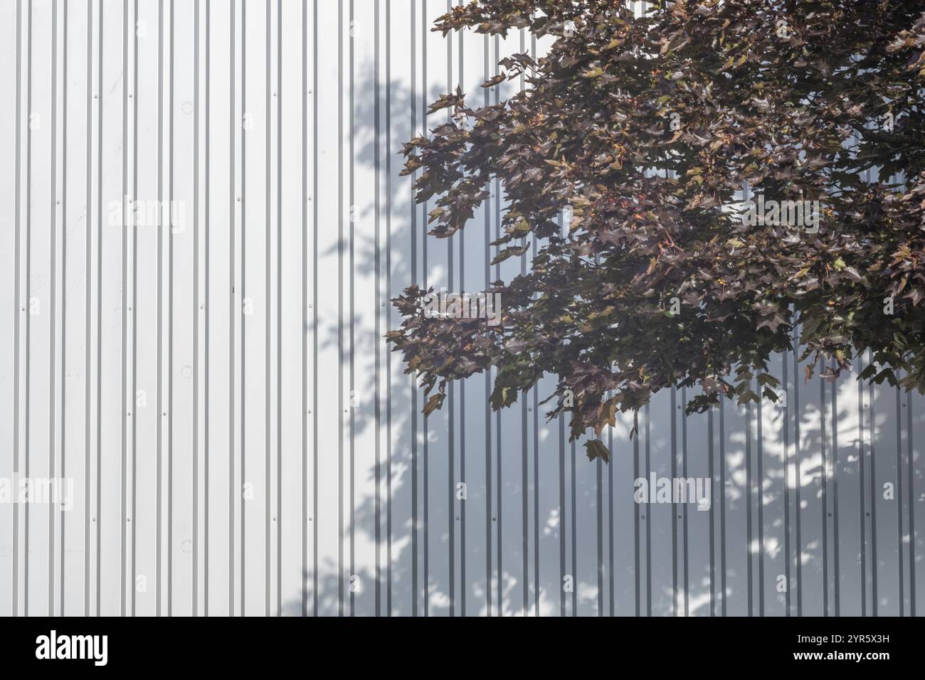 Modern fasde of an industrial building without windows Stock Photo - Alamy