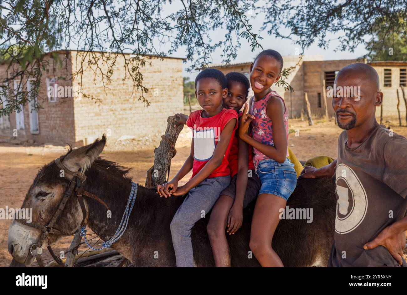 Africa village , african kids riding a donkey at the farm, father ...