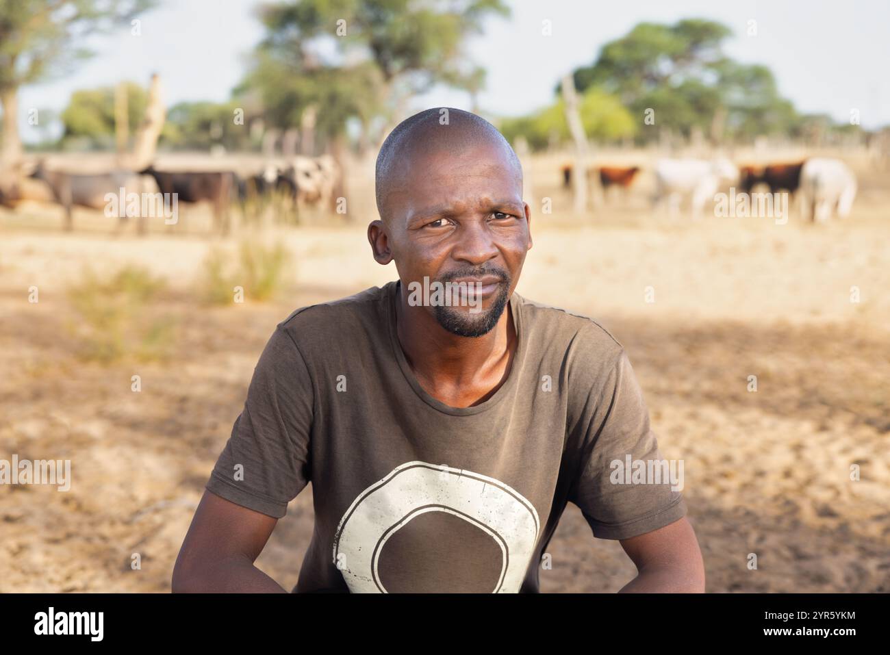 portrait of village african farmer man with shaved head at the farm, in ...