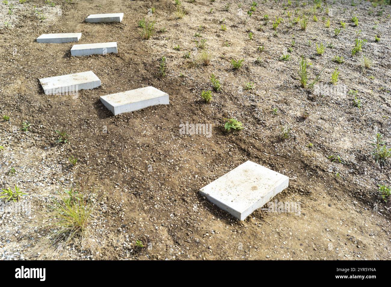 Stones on a garden path Stock Photo - Alamy