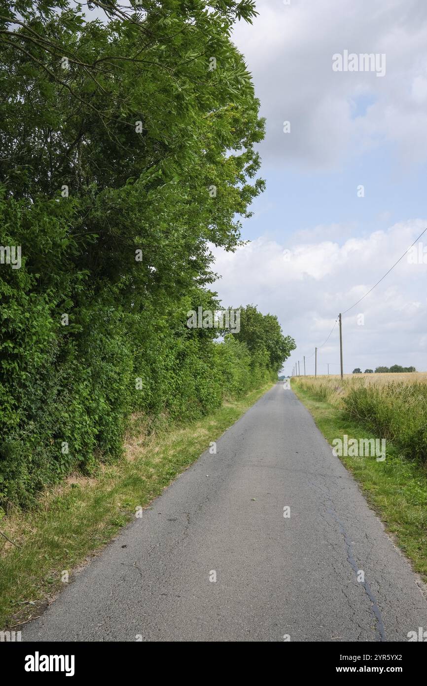 Country road sun in hi-res stock photography and images - Alamy