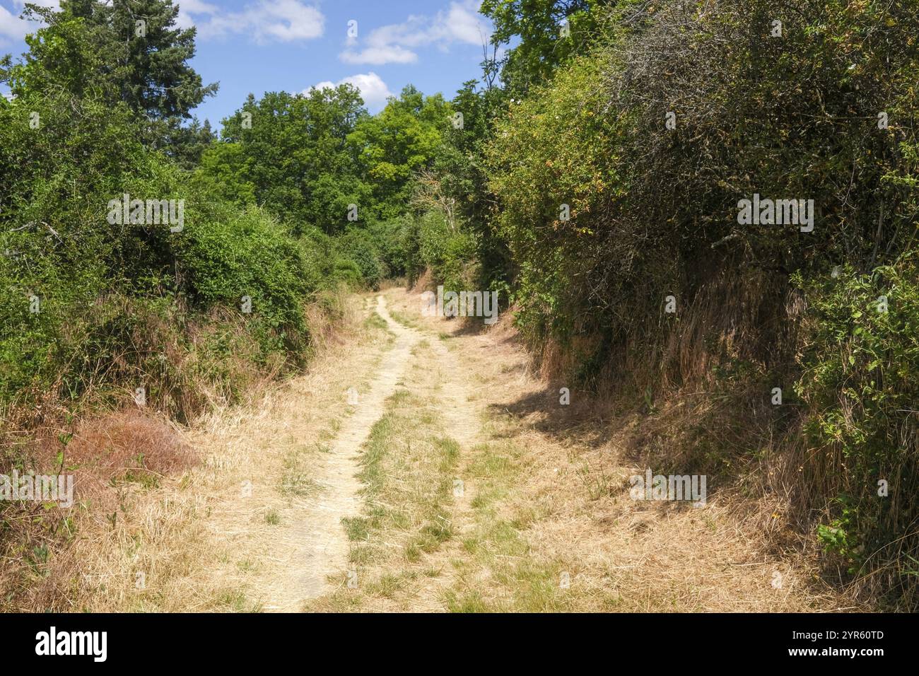 The wonderful shot hi-res stock photography and images - Alamy