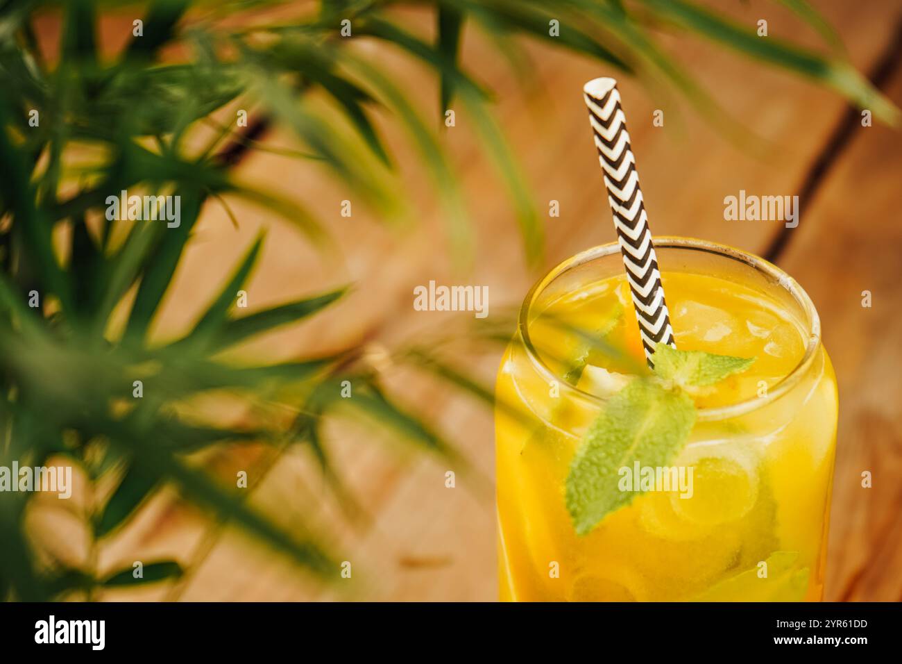 Golden lemonade, accented with vibrant citrus slices and sprigs of mint ...