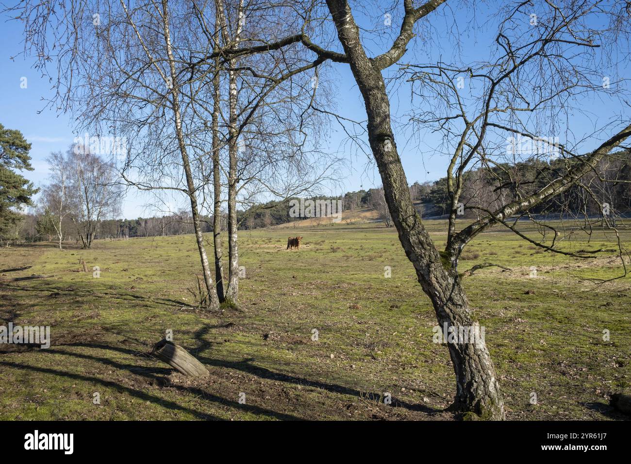 Open landscape featuring hi-res stock photography and images - Alamy