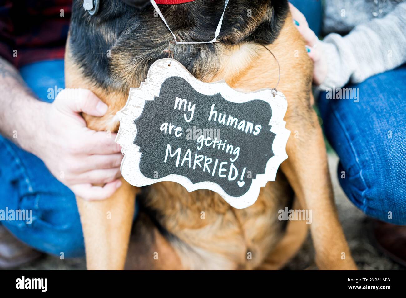 Engagement announcement hi-res stock photography and images - Alamy