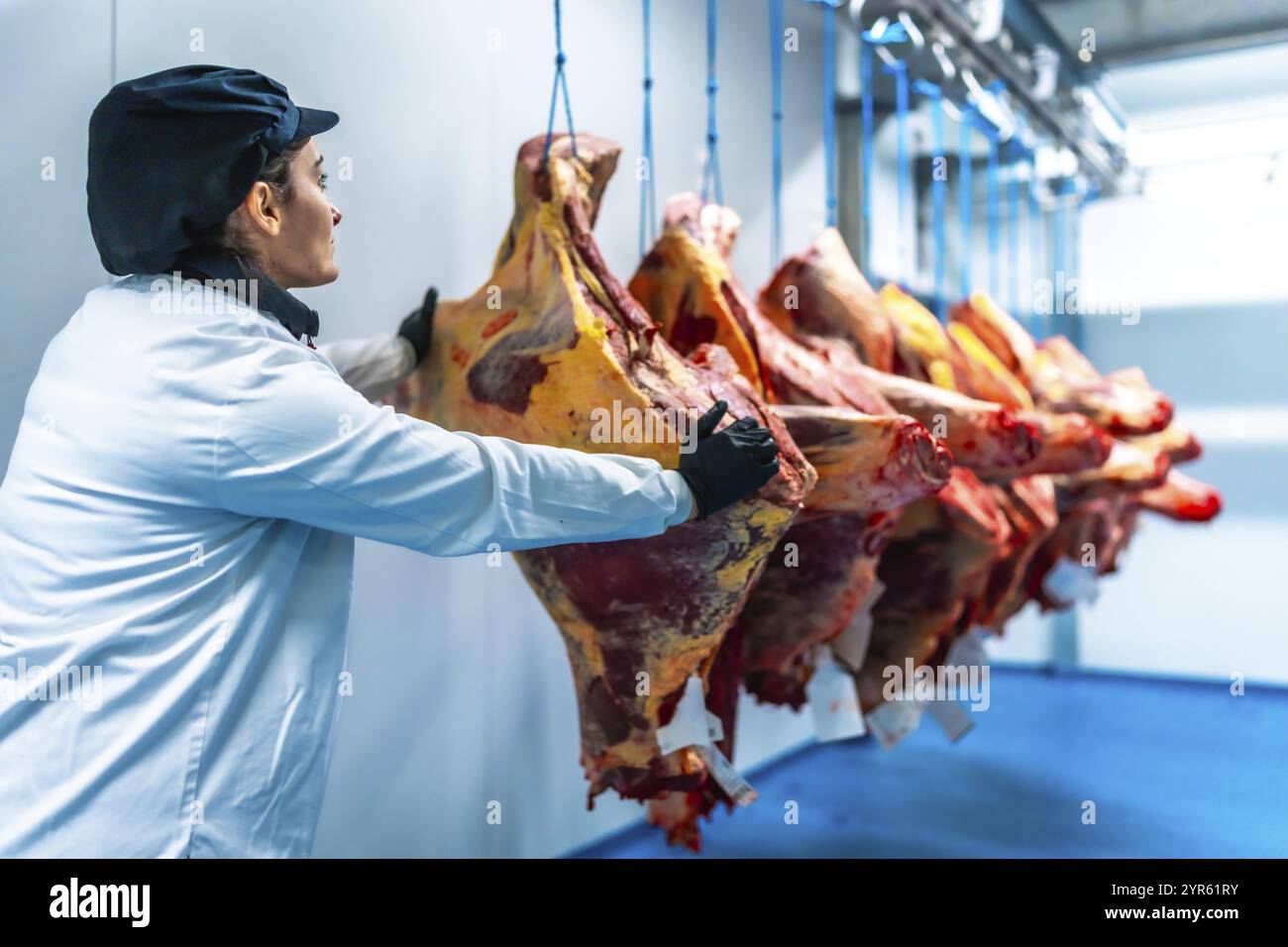 Woman in uniform, hat and gloves placing meat in line in a cold storage ...