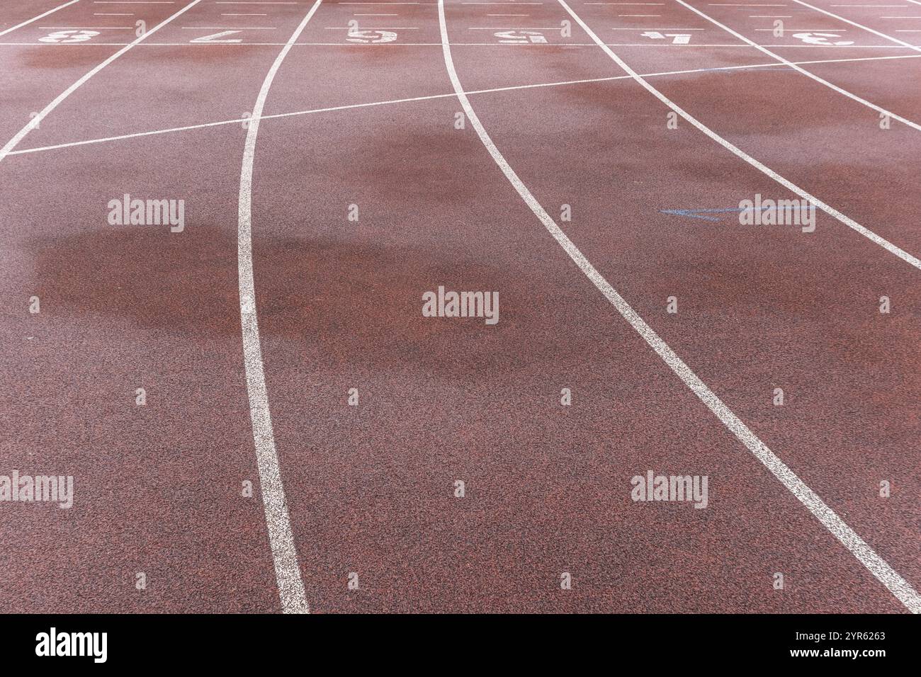 Wet synthetic track in the athletics stadium Stock Photo - Alamy