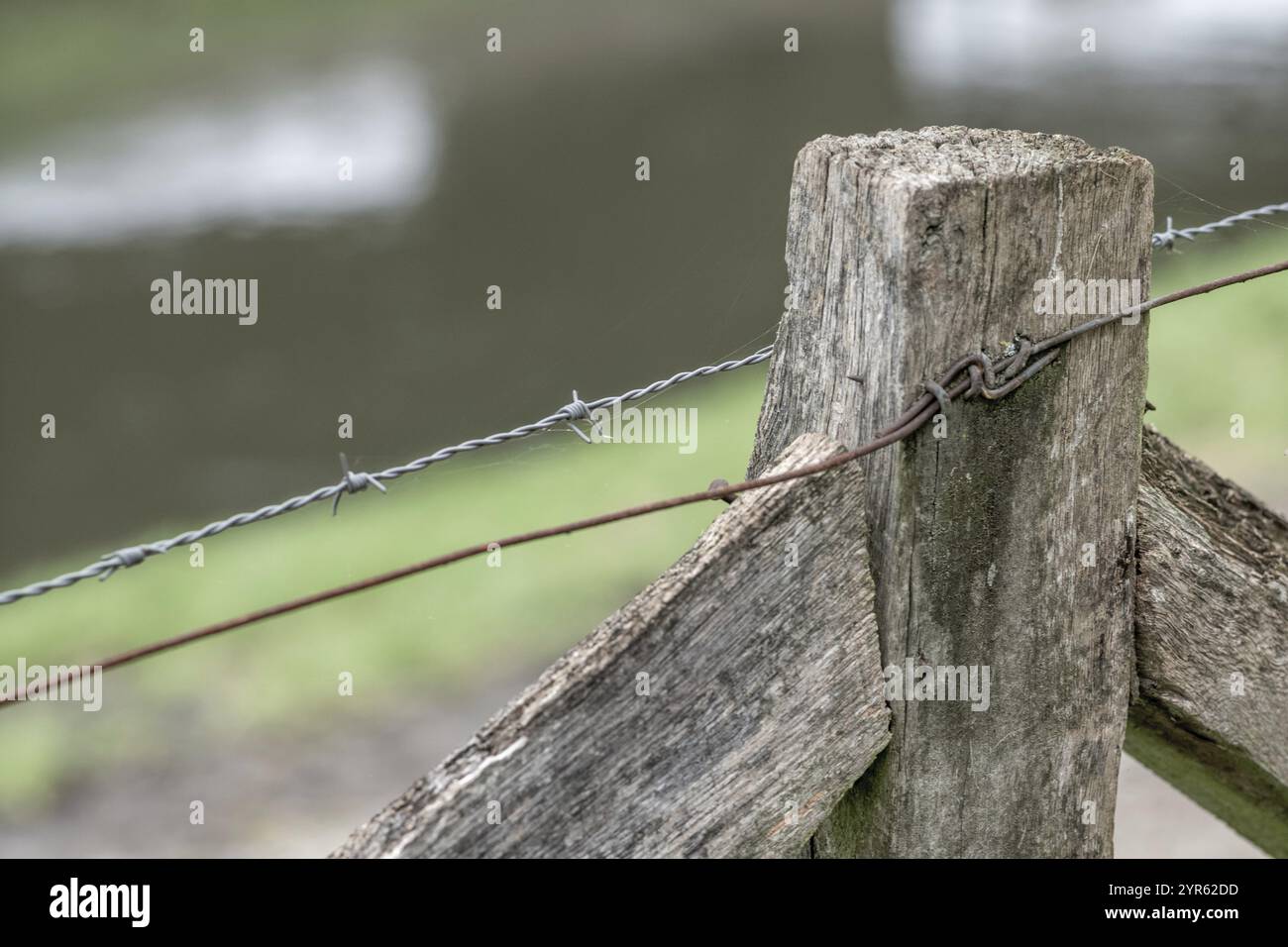 Barbed wire on a fence Stock Photo - Alamy