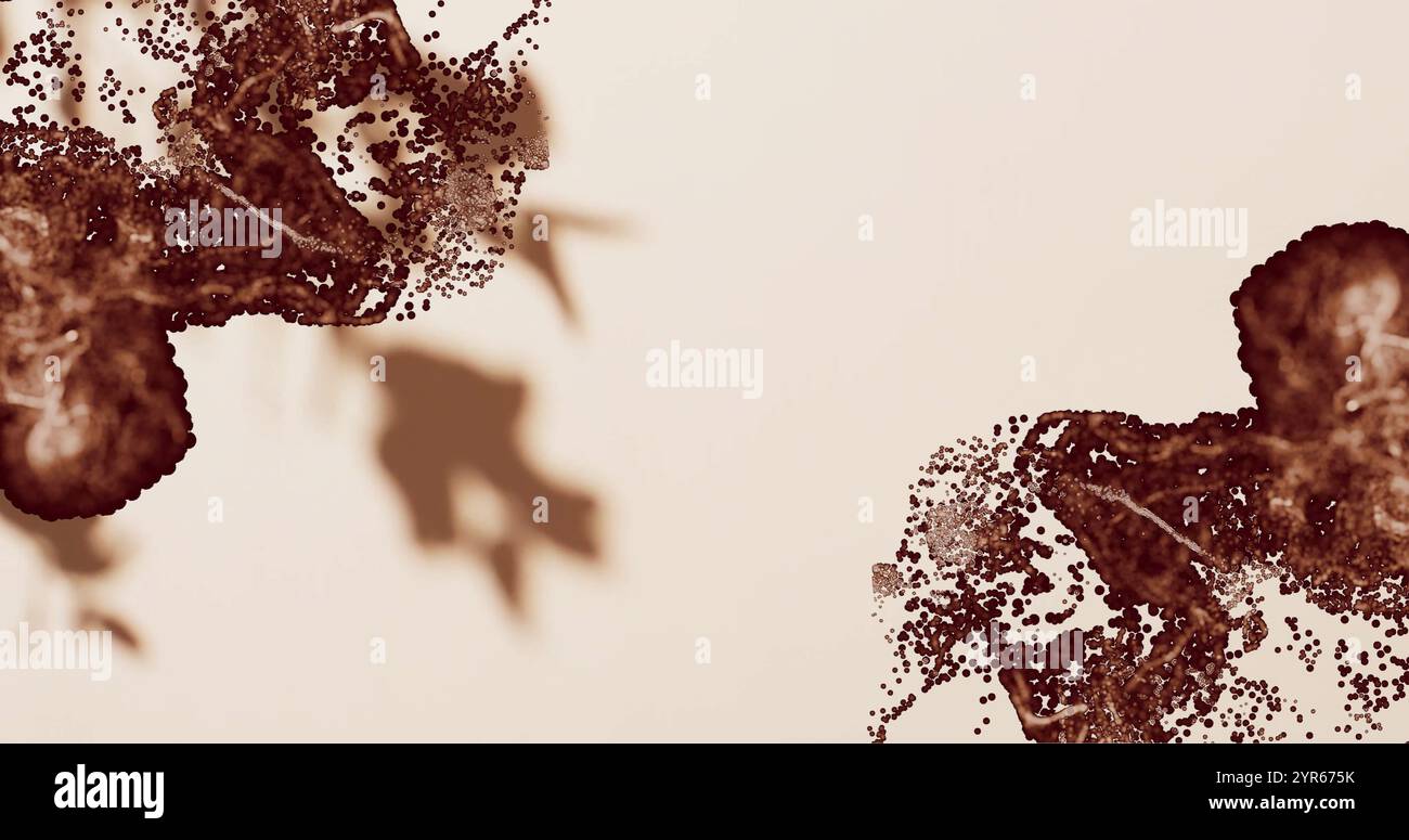 Image of silhouettes of branch with leaves and spots over beige ...