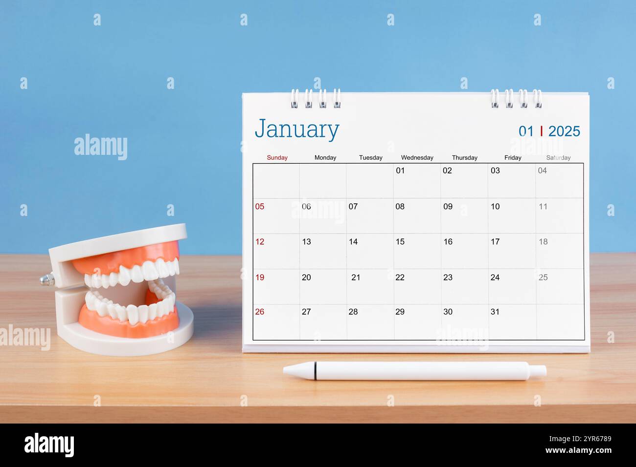 January monthly desk calendar for 2025 year and model dentures on the ...
