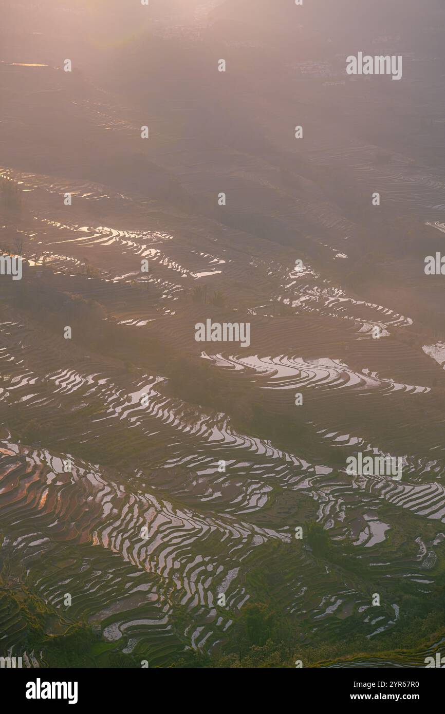 Vertical Close up on Bada rice terraces in Yunnan, China. Background ...