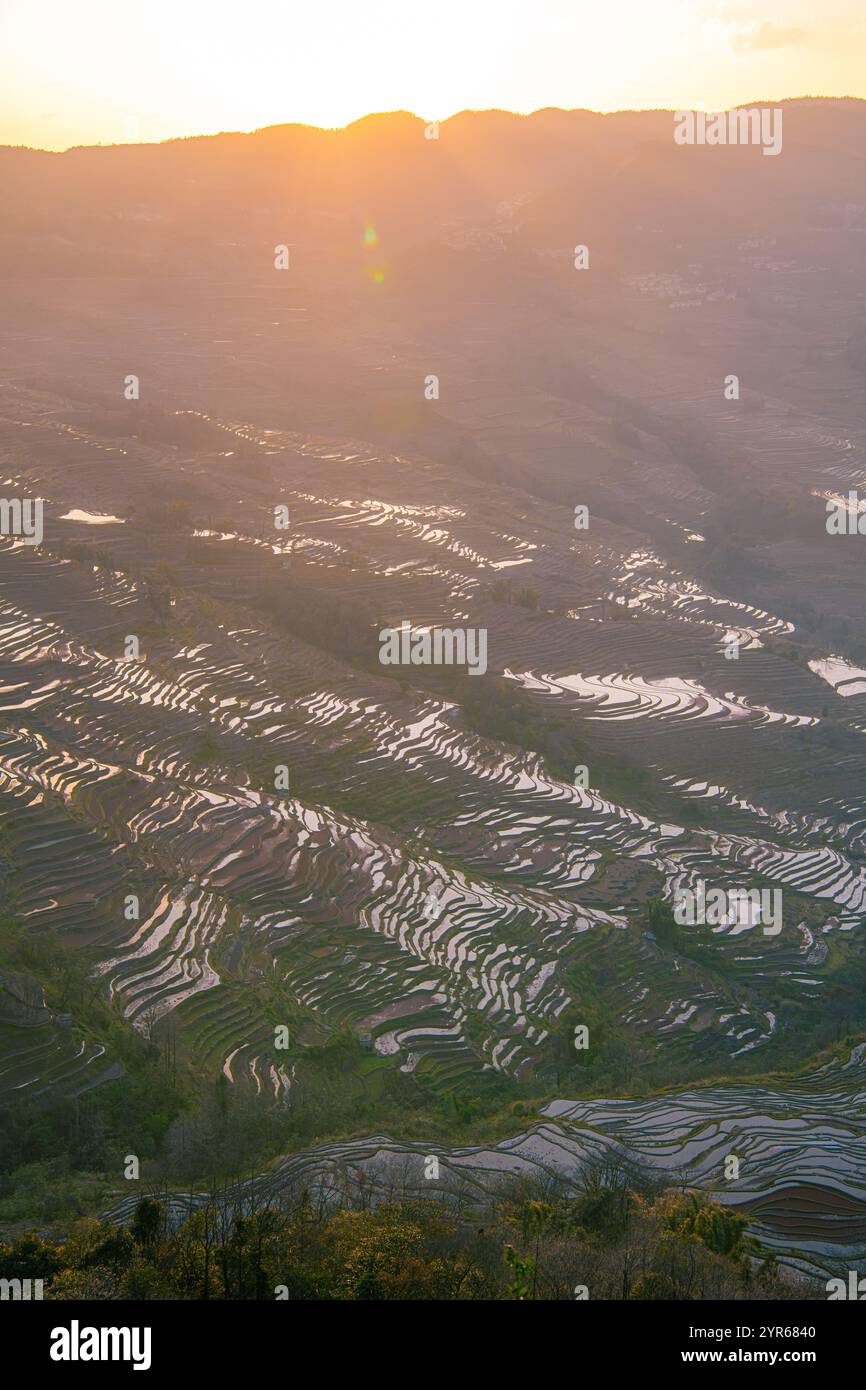 Vertical image of beautiful setting sun light above Bada Rice terraces ...