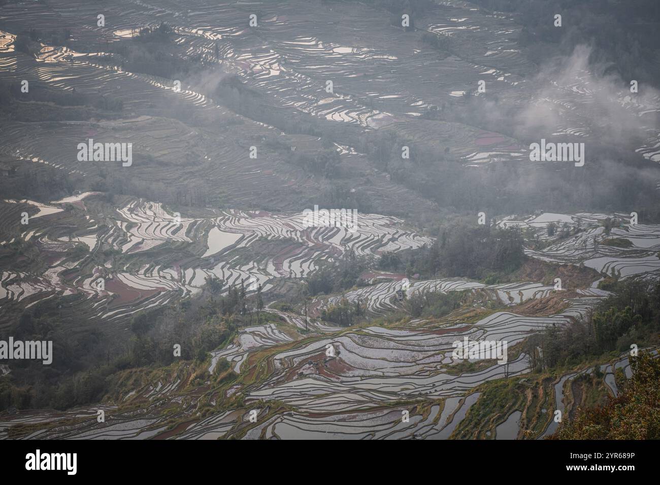 Close up on the layers of the rice terraces in Bada rice terraces area ...