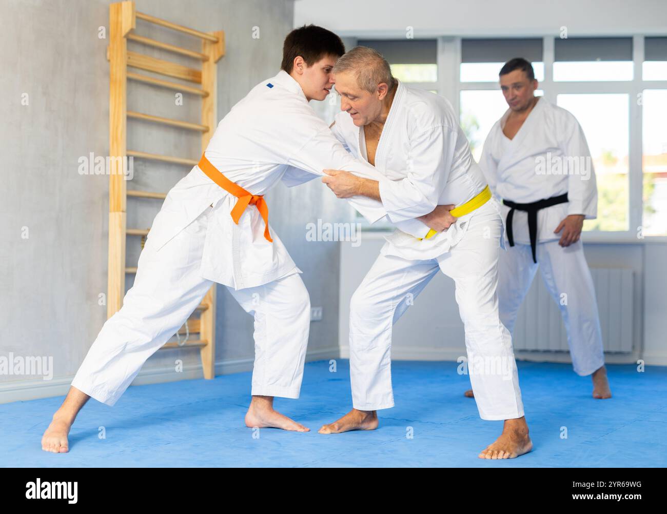 Jiu jitsu techniques hi-res stock photography and images - Alamy