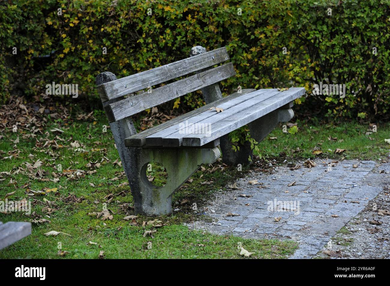 aged, autumn, bench, chair, change, deserted, empty, environment, fall ...