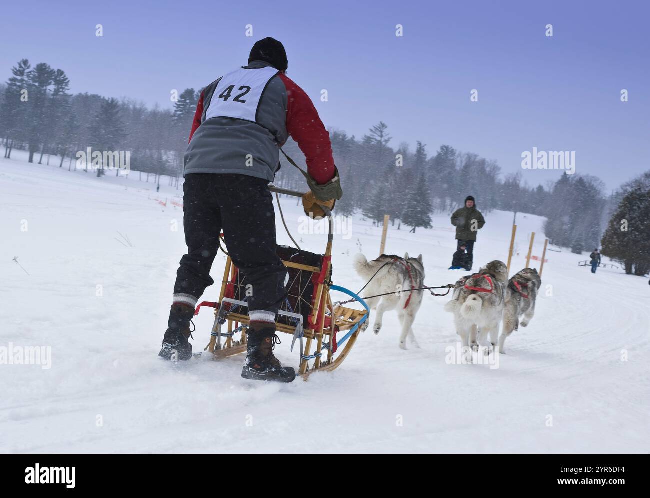 Dog sled race at haliburton hi-res stock photography and images - Alamy