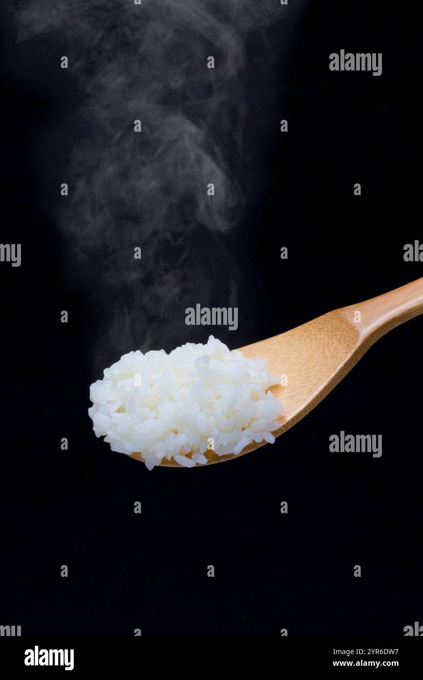 Rice and rice scoop Stock Photo - Alamy