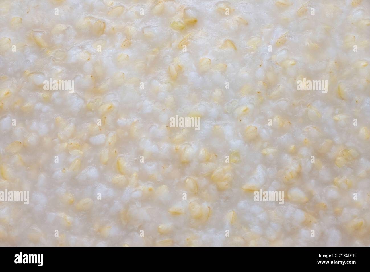 Japanese brown rice porridge hi-res stock photography and images - Alamy
