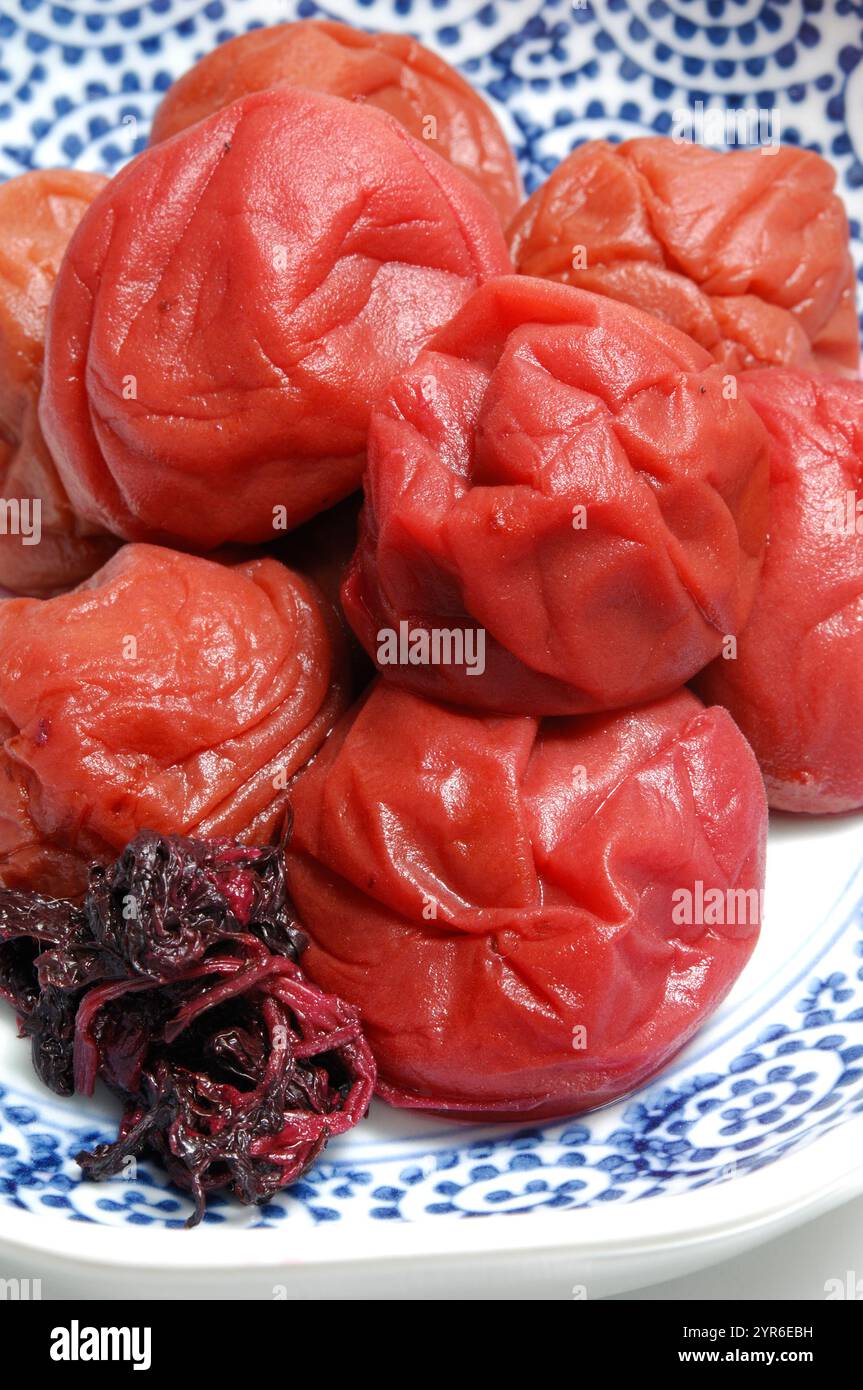 Japanese food umeboshi pickled hi-res stock photography and images - Alamy