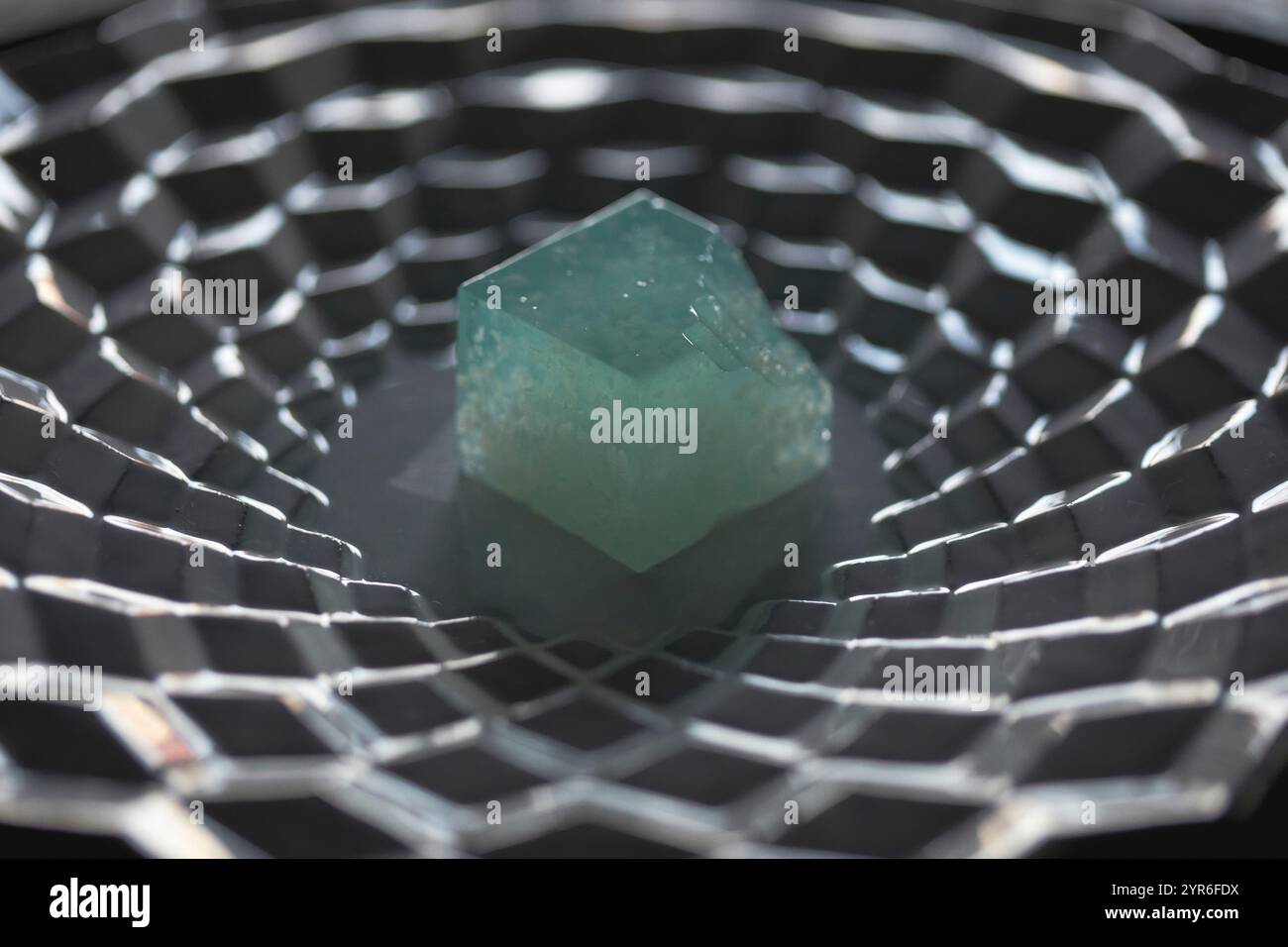 Sazanami 1 in a bowl Stock Photo - Alamy